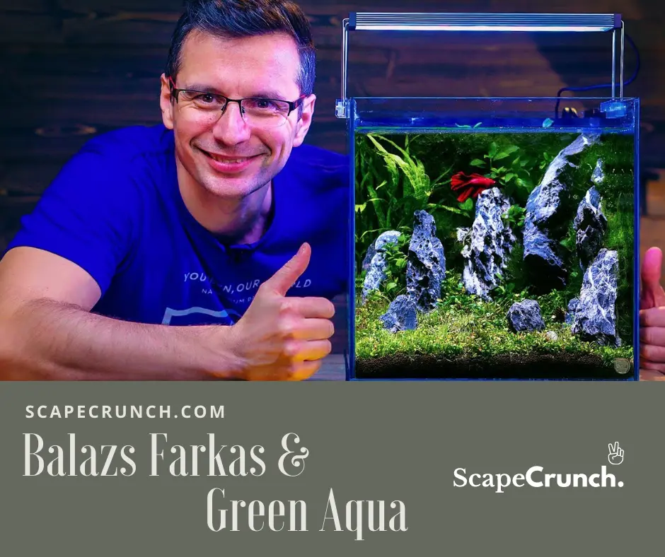 Balazs Farkas & Green Aqua | ScapeCrunch