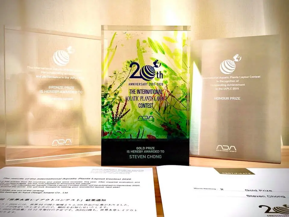 Steven Chong - The Mind of a Competitive Aquascaper | ScapeCrunch