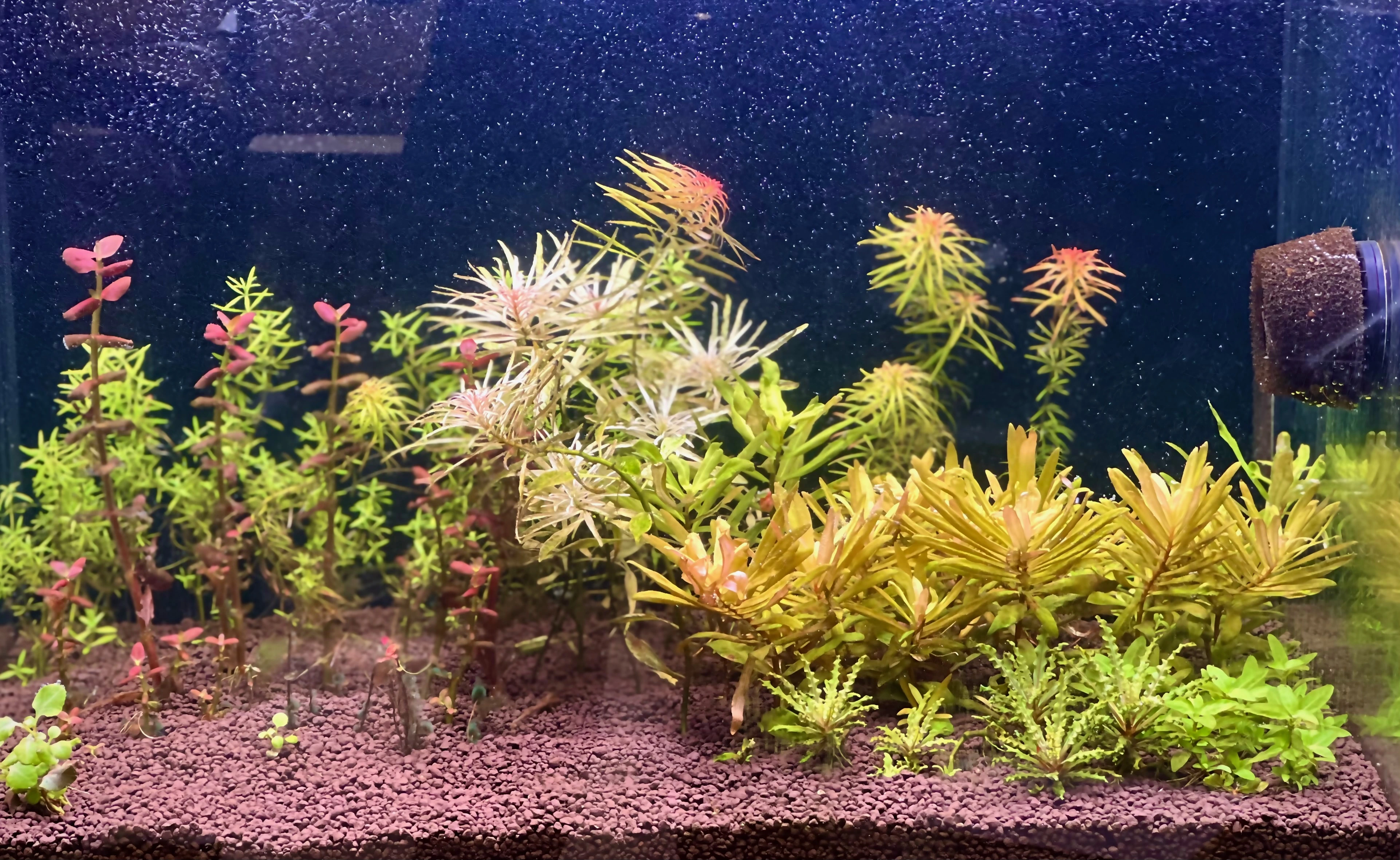 Arts ugly photo.webp | ScapeCrunch